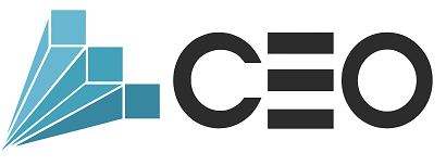 CEO Engineering Consultancy